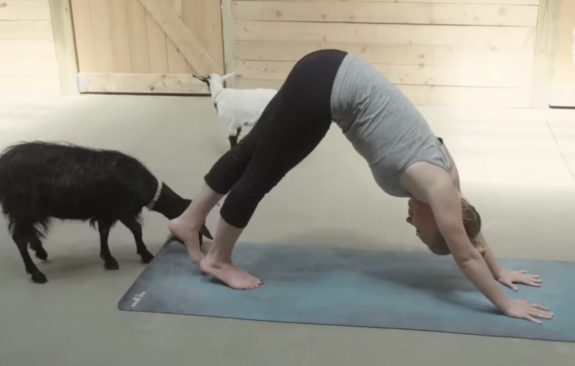 Home - Candies Foundation